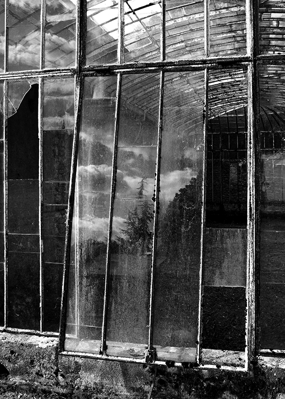 GLASS HOUSE – Last day – Isabel da Rocha